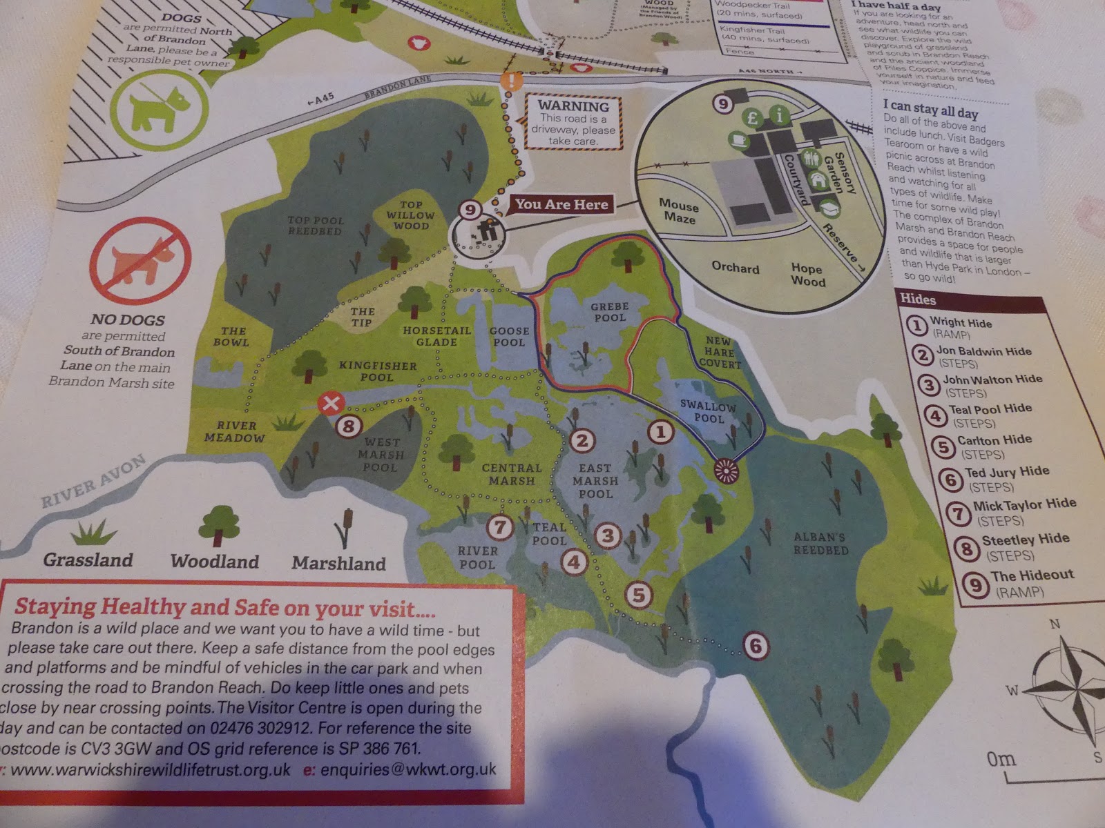 Ragged Robin's Nature Notes: Brandon Marsh Nature Reserve