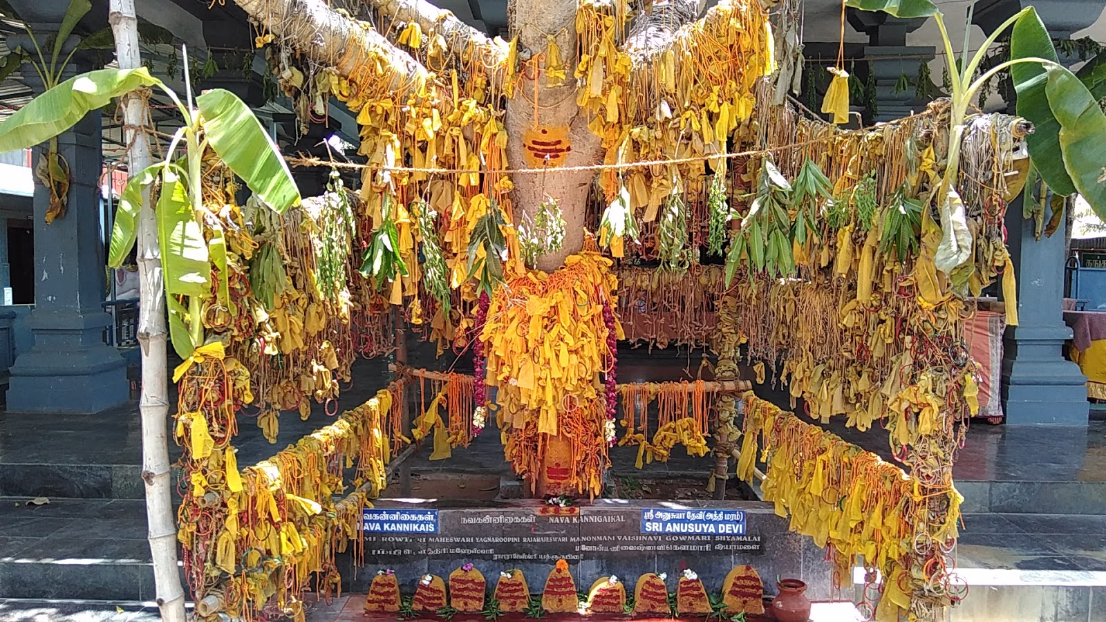 Danvantri Peedam - Universal Peedam: Saptha Matha - Navakanni Pooja