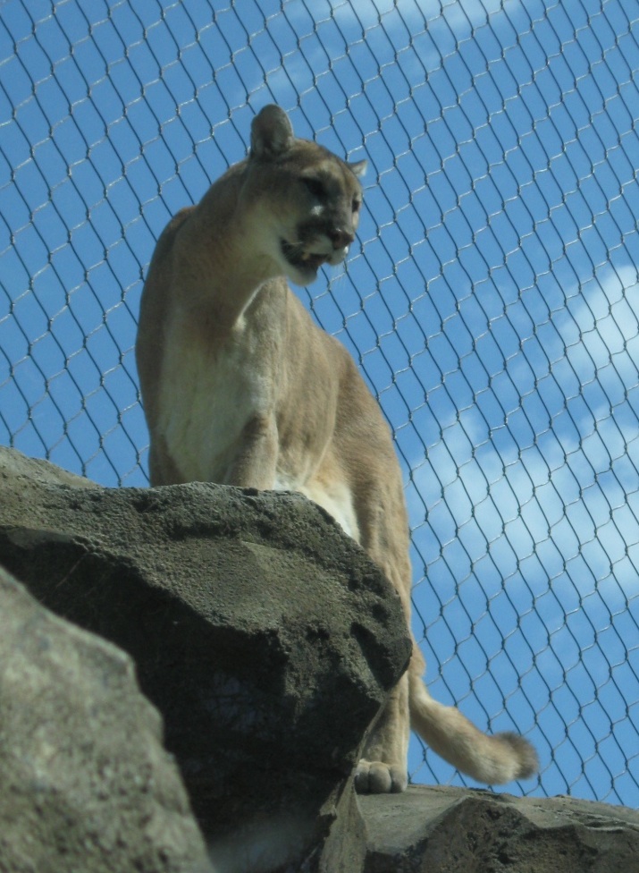 randuwa: The Philadelphia Zoo