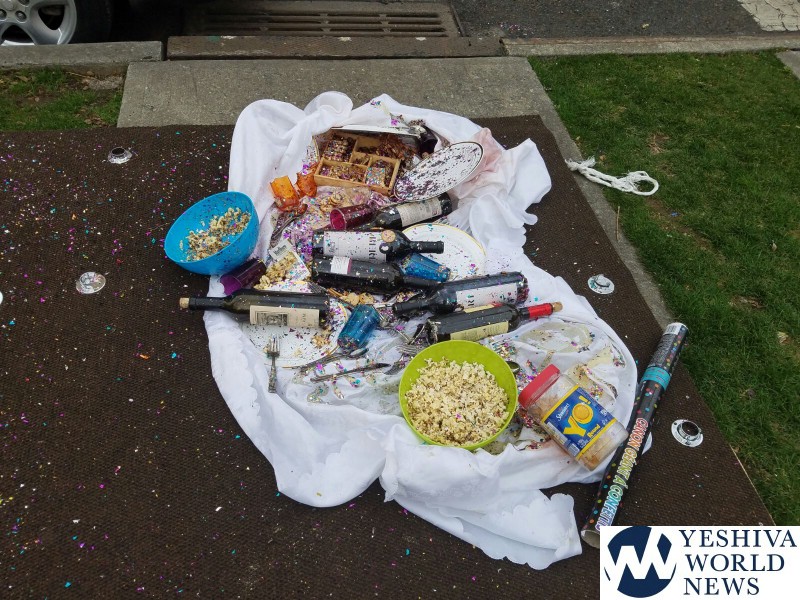 DUS IZ NIES !! Rare View...: Beri Weber Purim Video Causes Massive ...