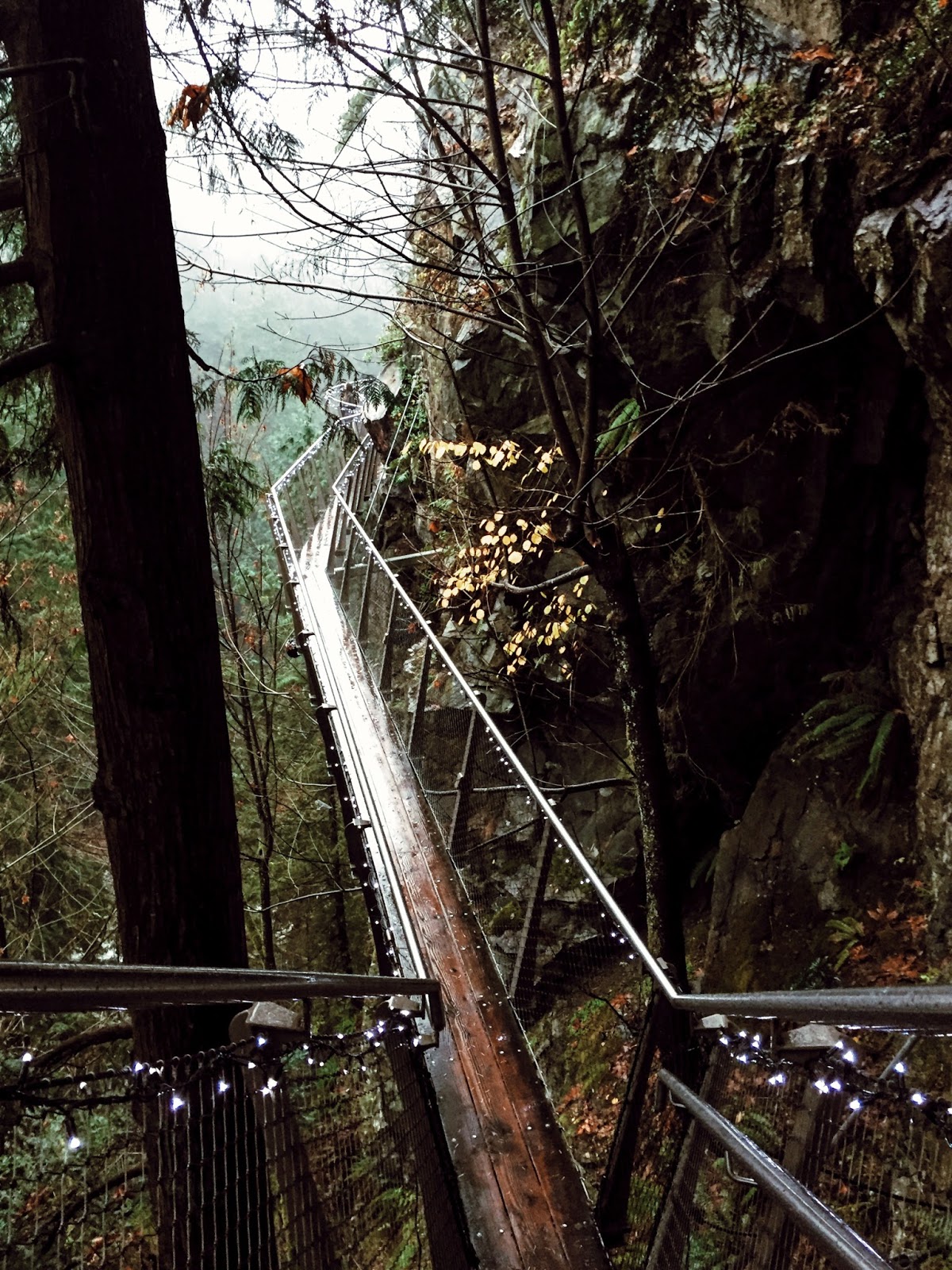 Vancouver: Capilano Suspension Bridge Park | StephC