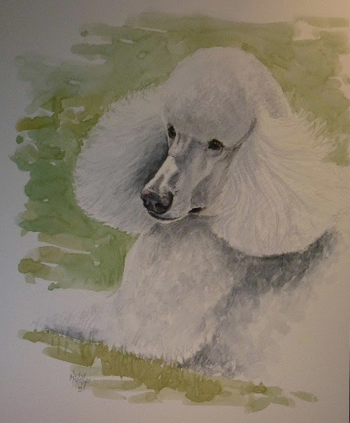 Maren Phillips: GOING PLACES