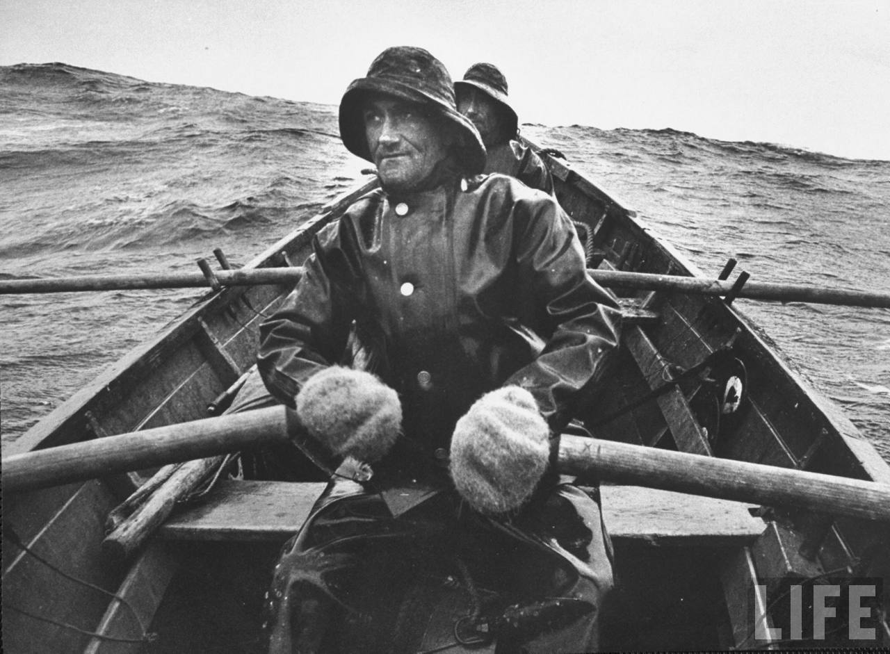 Lyssa humana: Photographer: Peter Stackpole