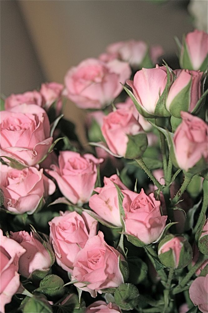 Vintage Pretty: ~Pink Fall~