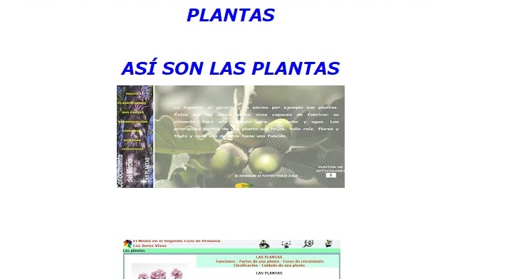Blog Recursos Didácticos de Ana Casas : CIENCIAS NATURALES TEMA 2: EL ...