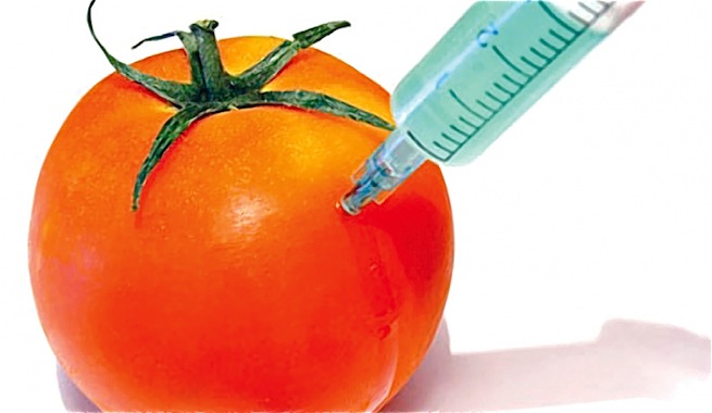 Bloglogía y Geología: Organismos transgénicos