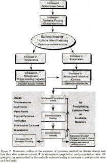 Irene e i suoi fratelli