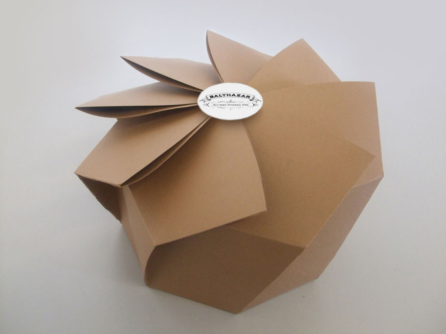 FMP: Brief 5 - Chaophraya Origami Influence