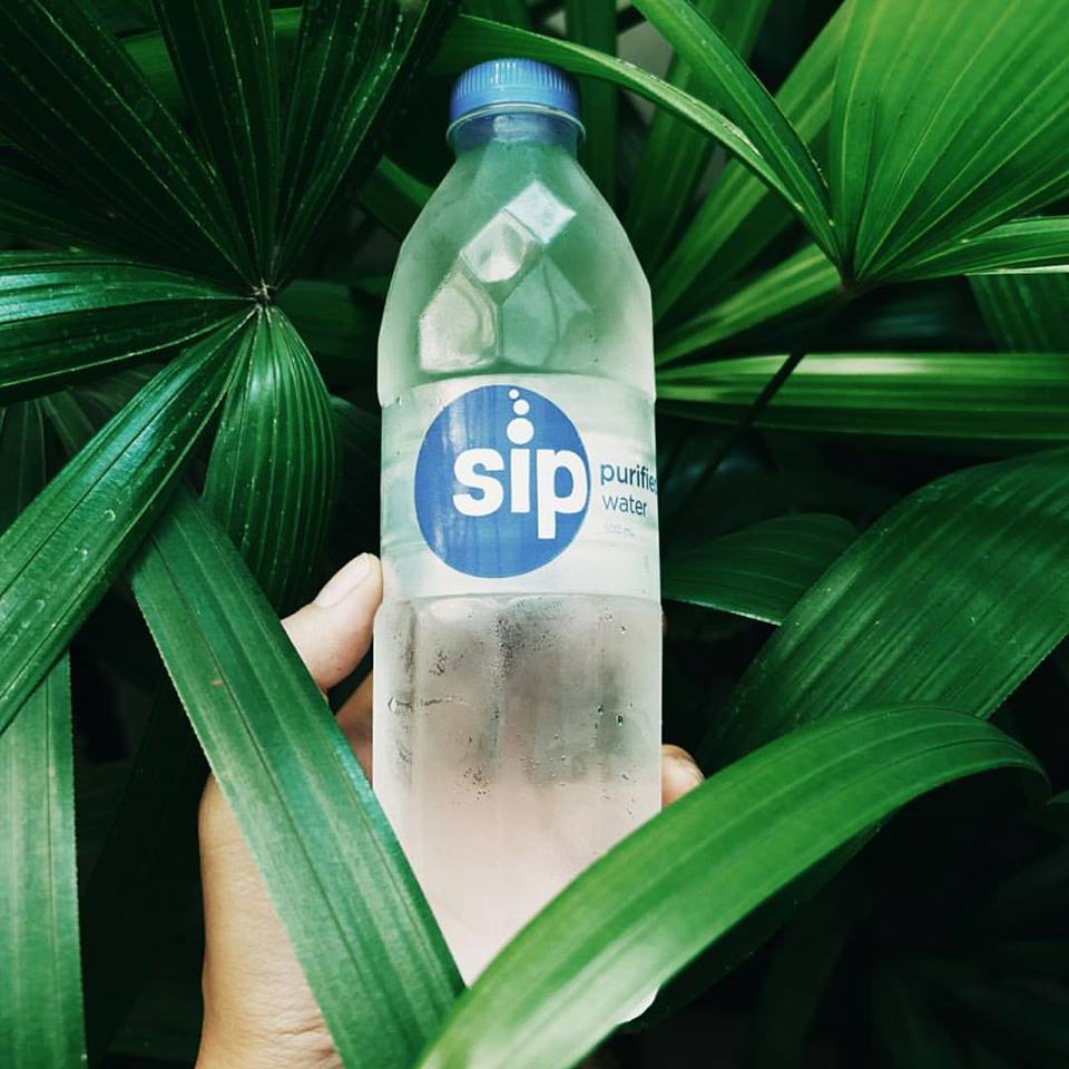 6 Hydration Tips You Won’t Regret Doing | Stay Hydrated with Sip ...