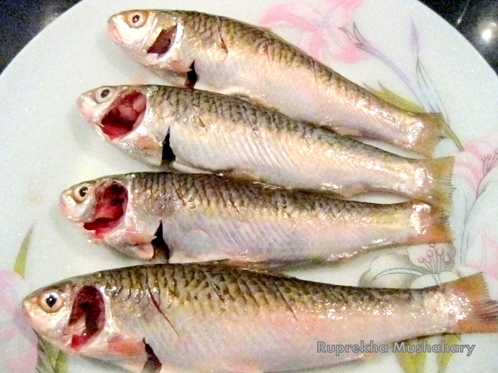 Feelings: Maasor Tenga