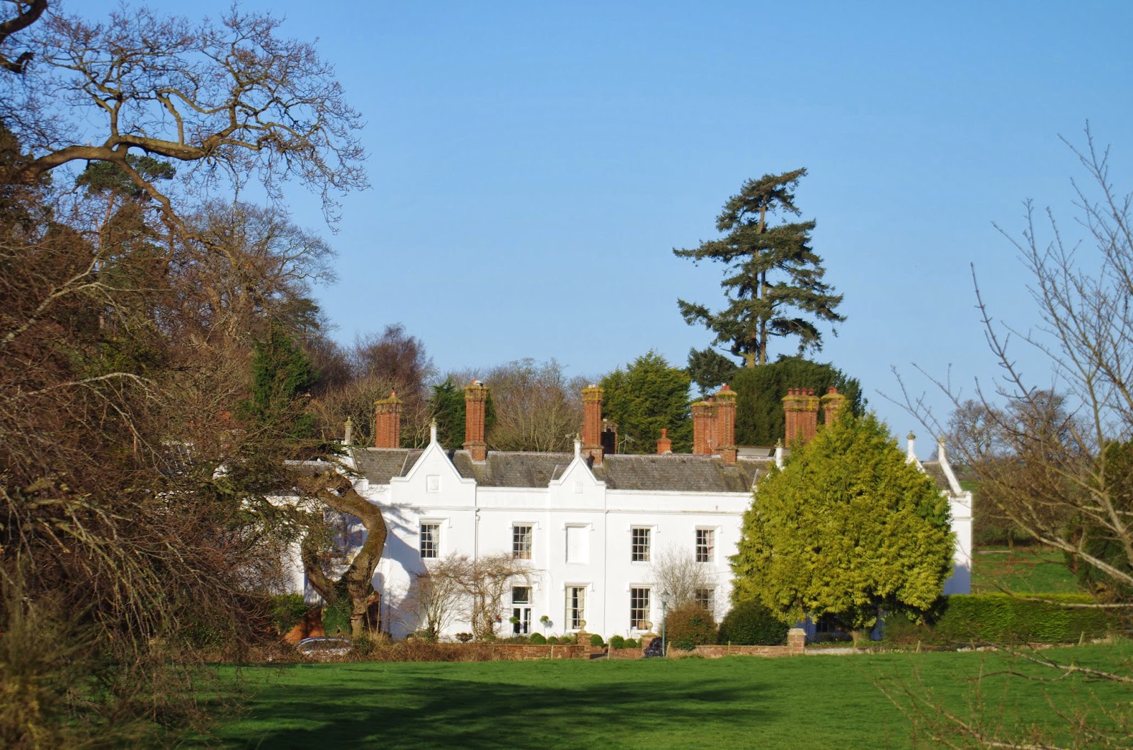 Diary of a retired countryman: Some colour coming into the garden.
