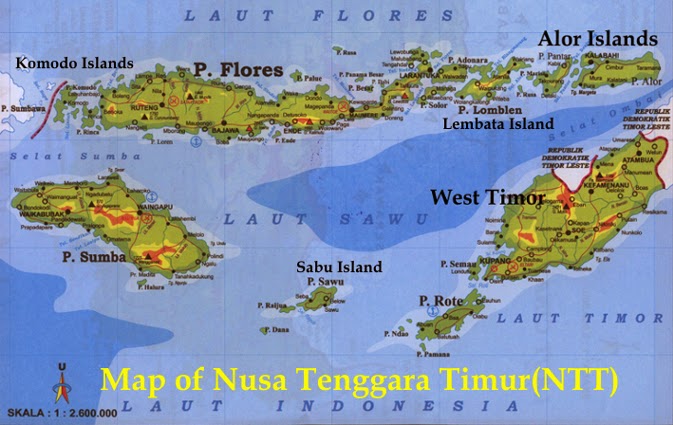 Herbanic Syifa: Agen Pulau Bali, NTT dan NTB