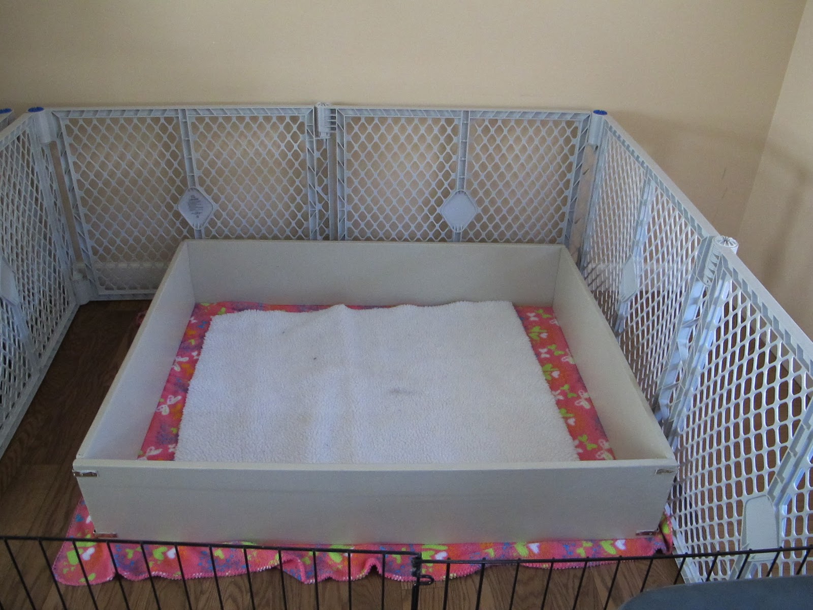 Casa Do Sol: Whelping area