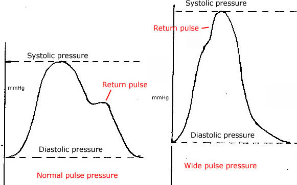 icupearls.org Archive: 2017