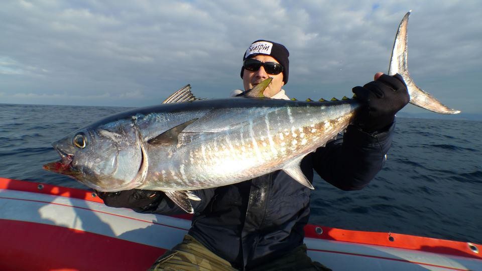 PaperFish - Fish Biology in progress..: Bioaccumulo e biomagnificazione ...