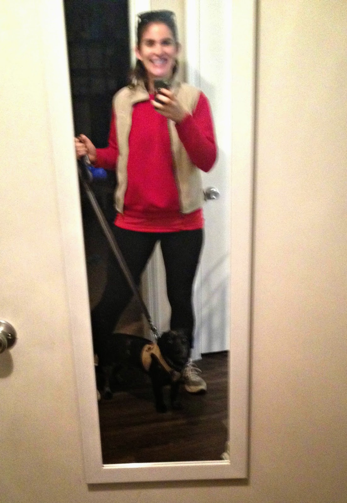 In Shape Out of Mind: The Fitbit Challenge