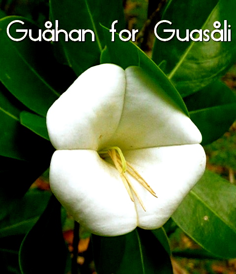 I Hinanao Mo'na: September 2013