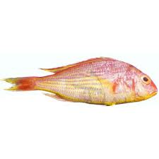 Something FISH-y about it