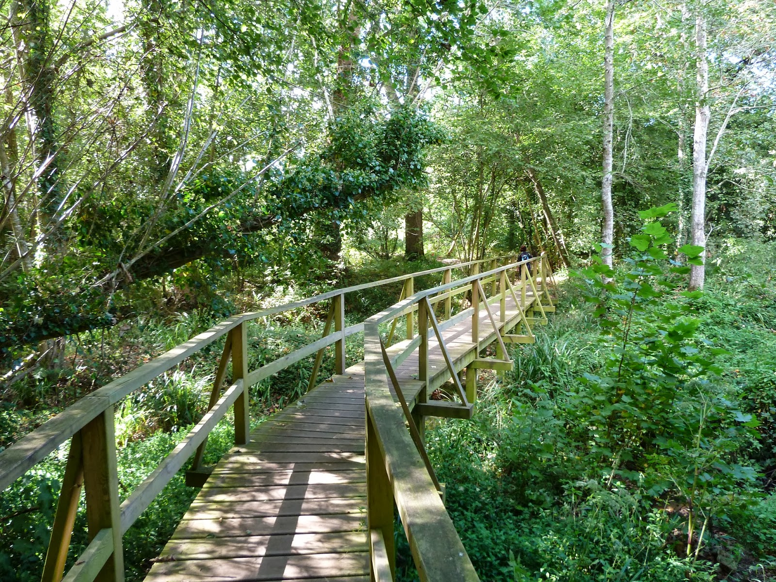 en la buena senda: Senda del Nansa