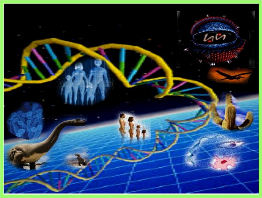 Genoma Humano :: Química En La Actualidad