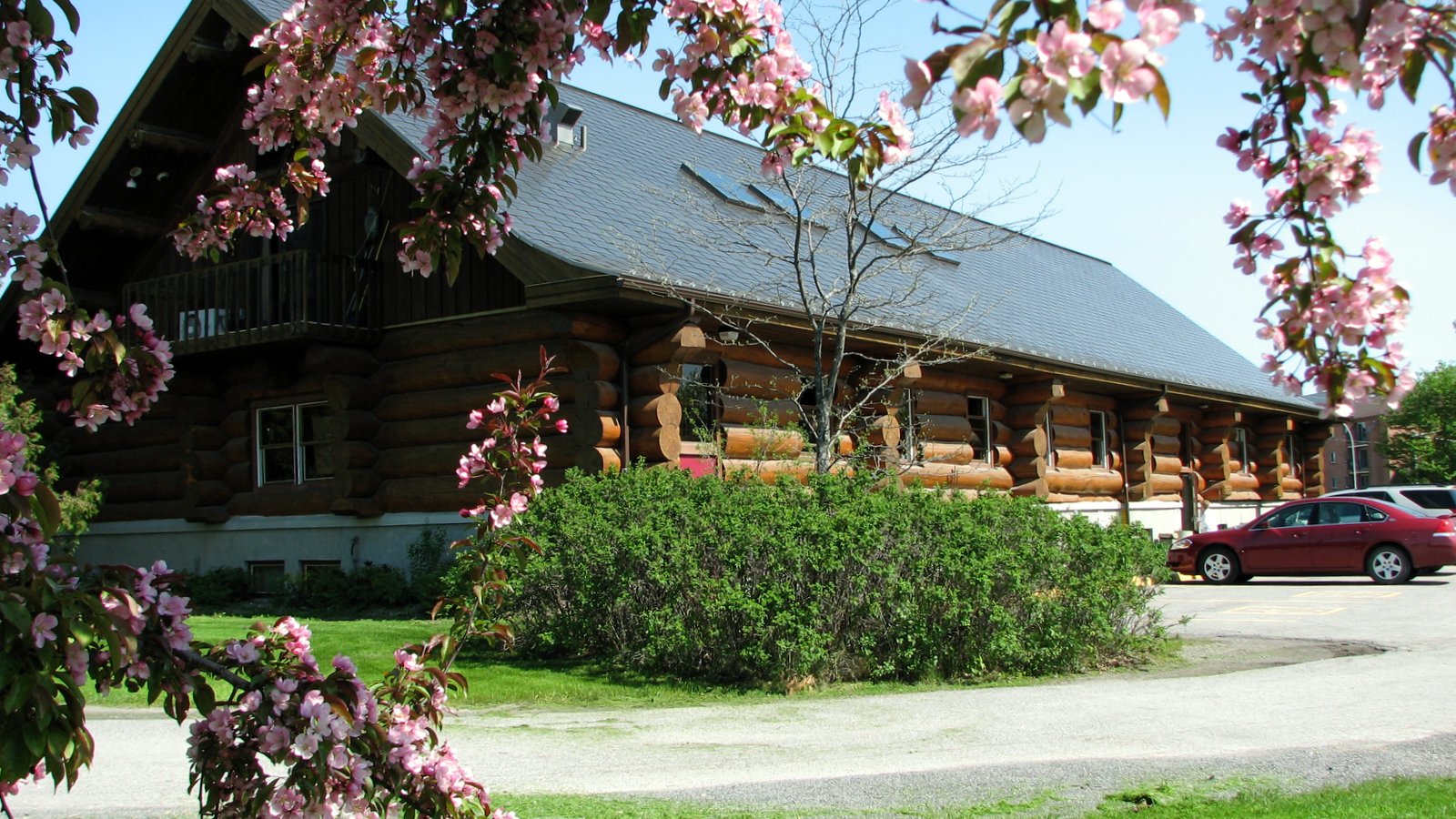 Zigzag de photos: Cabane en bois rond