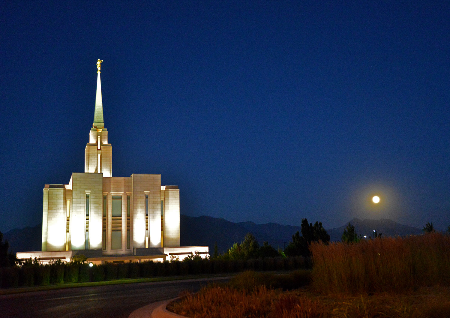 You can exert this divine power - light-in-leaves