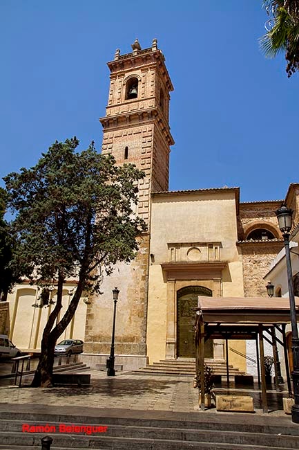 BICHOS Y MAS VLC: DE PASEO POR OLIVA (II): PASEANDO POR EL RAVAL