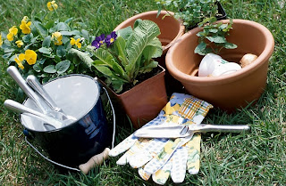 Bucket Outlet: Uses for Buckets in the Garden