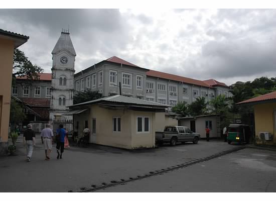 Colombo Medgrads 1962: My memories of the General Hospital Colombo and ...