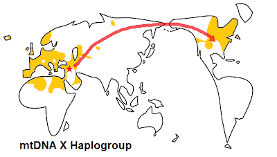 mtDNA C1 haplogroup in Europe a Post Script (The X2a hg) | Patagonian ...