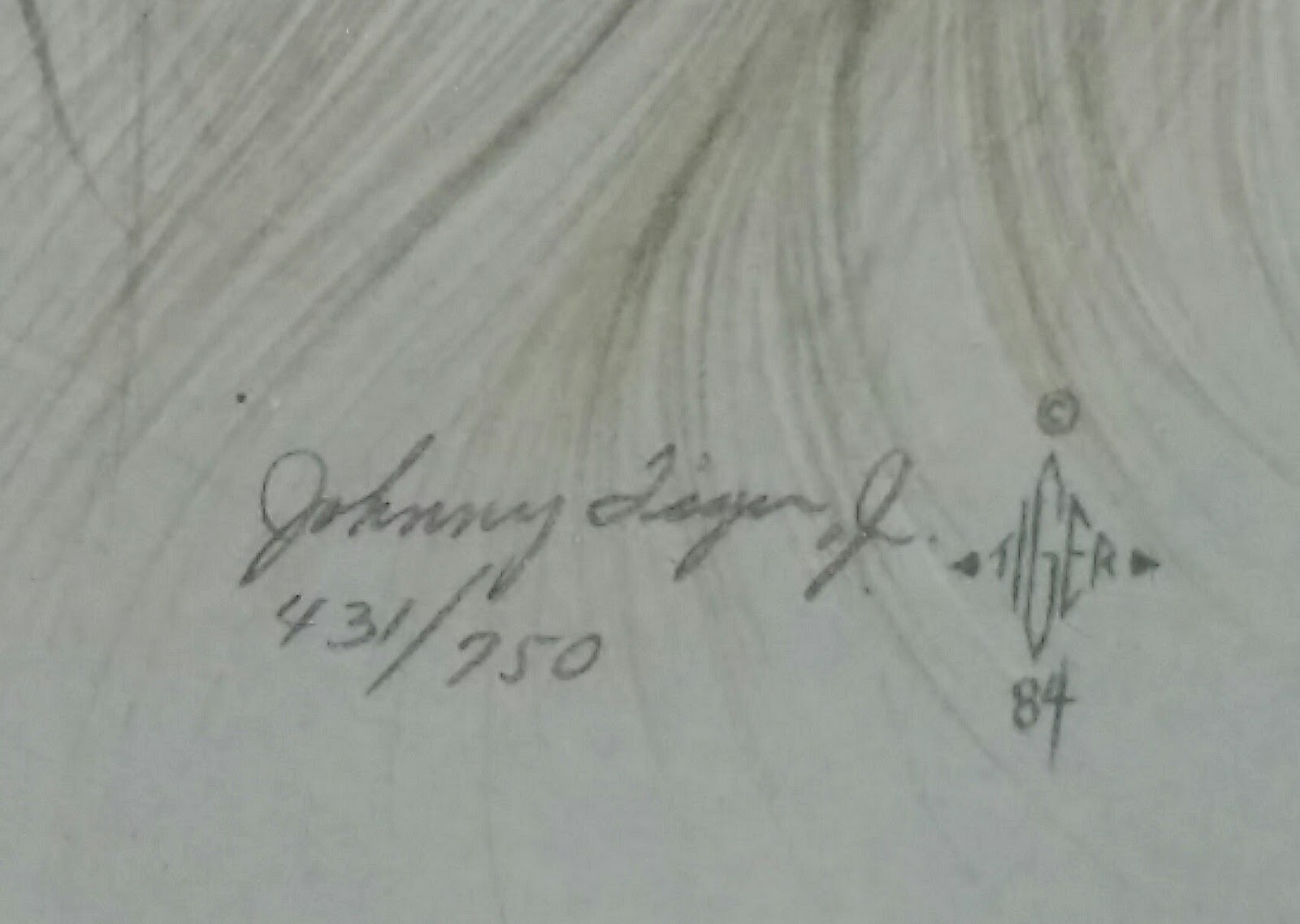 Ancestral Faces: Johnny Tiger Jr "Hawks Vigilance"