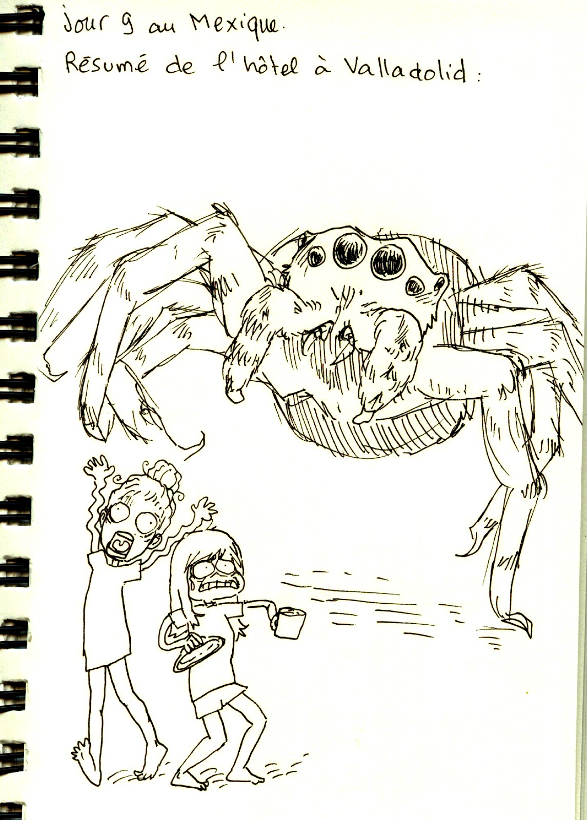 Le Blog'o'Gron: Carnet de voyage - Mexique, Yucatan