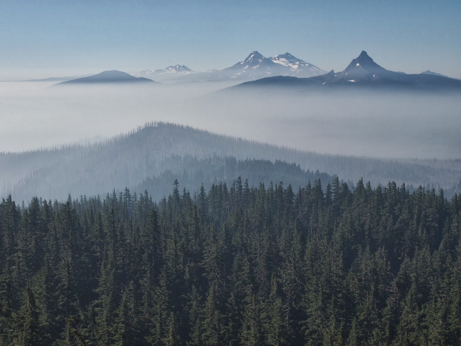 Sierra Hikes!: Day 125: Santiam Lake Trail to Shale Lake