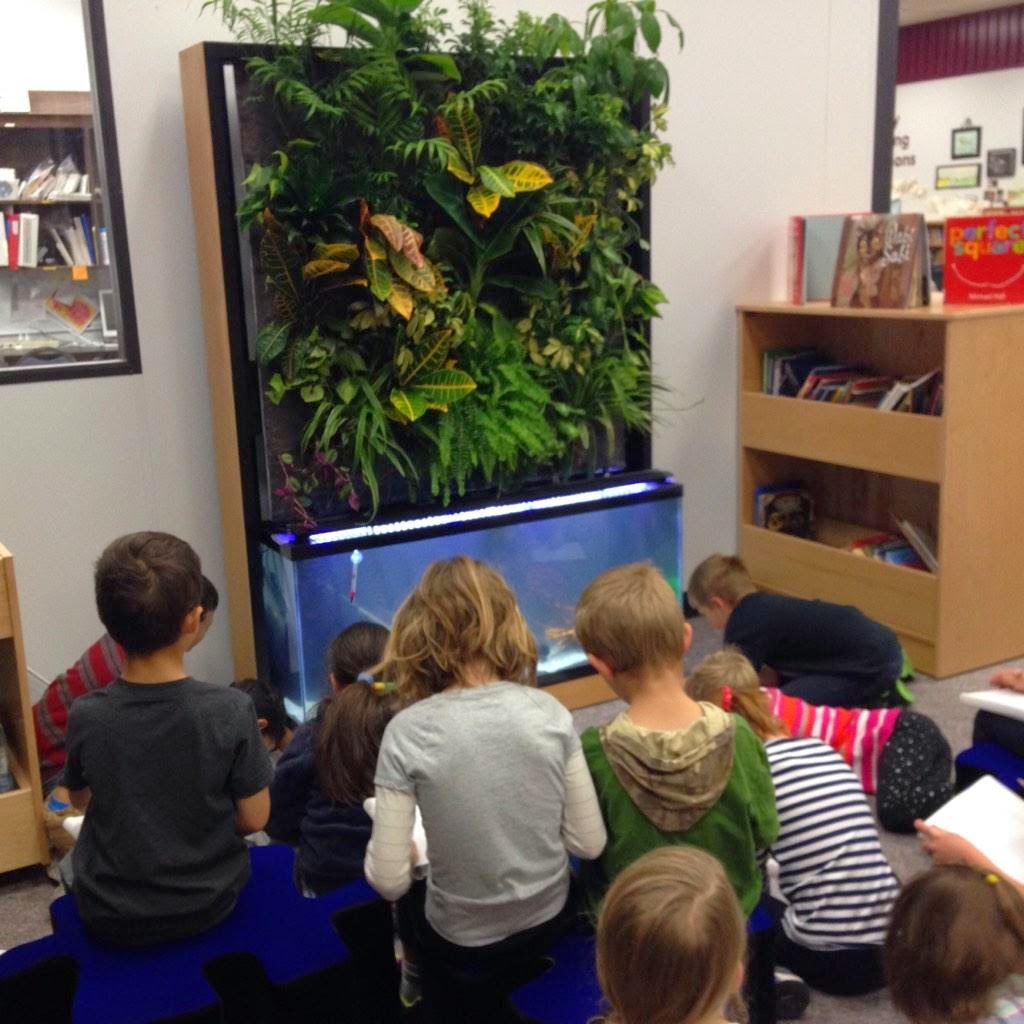 YYC Learning Commons: Living Wall at Andrew Sibbald School