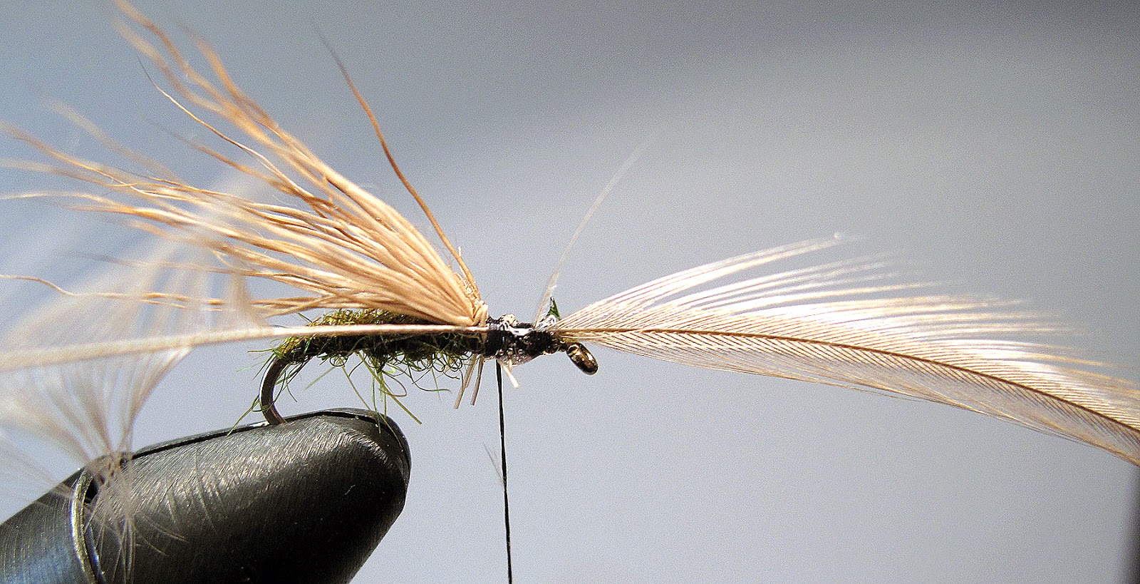 Dry Fly 'Expert': Learning About the Grannom