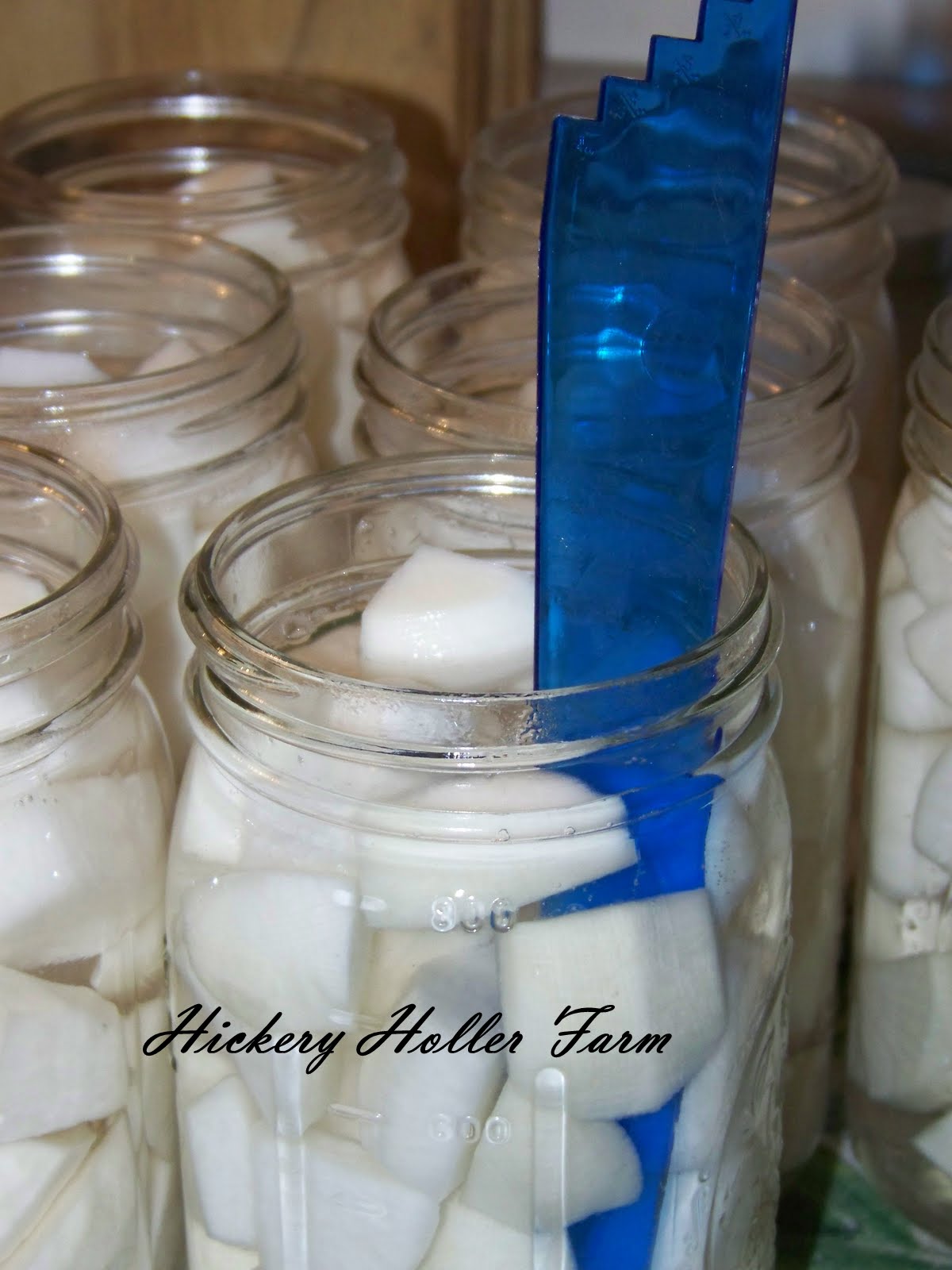 Hickery Holler Farm: Canning Turnips