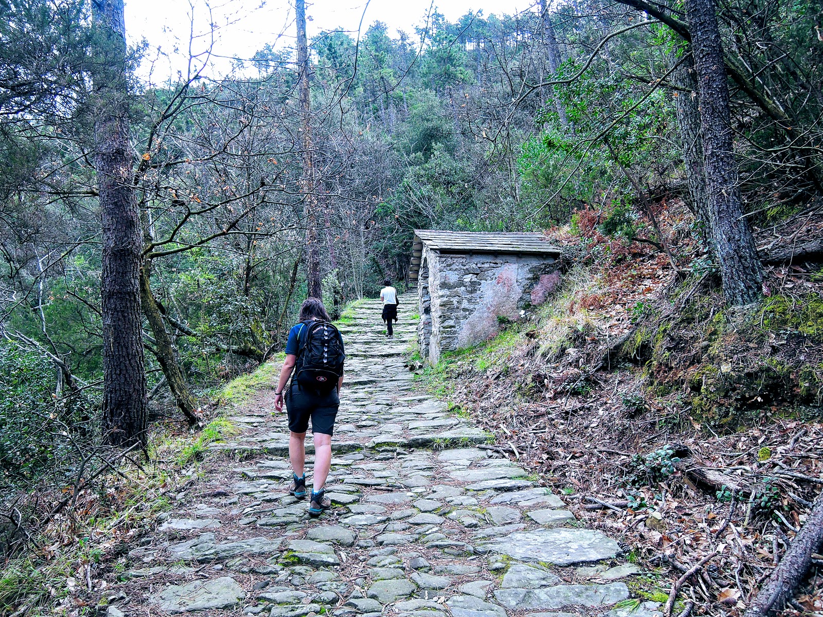 Piccoli Sentieri: 2018