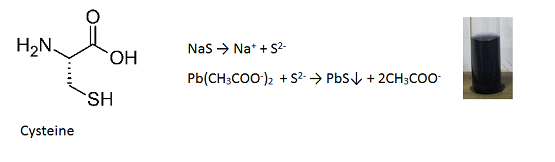 My Shadows: Tests for Proteins -2