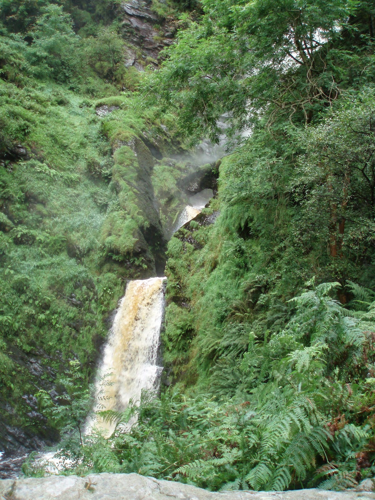 The Fragile Cyclist: Archive