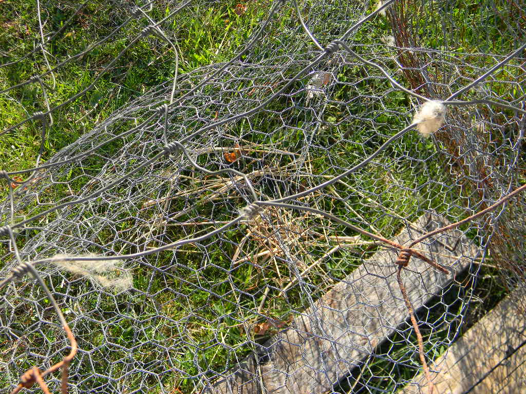 Notforgotten Farm : ~ Wool Gathering