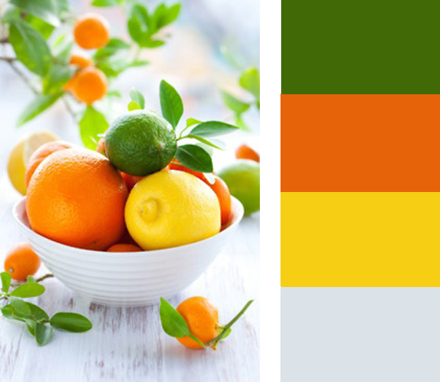 Becky Bedbug: Colour Palettes: Citrus