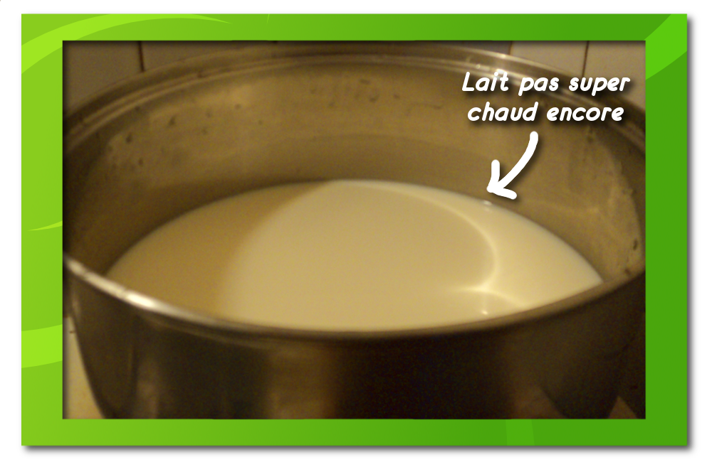 Les Tutos Ecolos: Galalithe/Pierre de lait