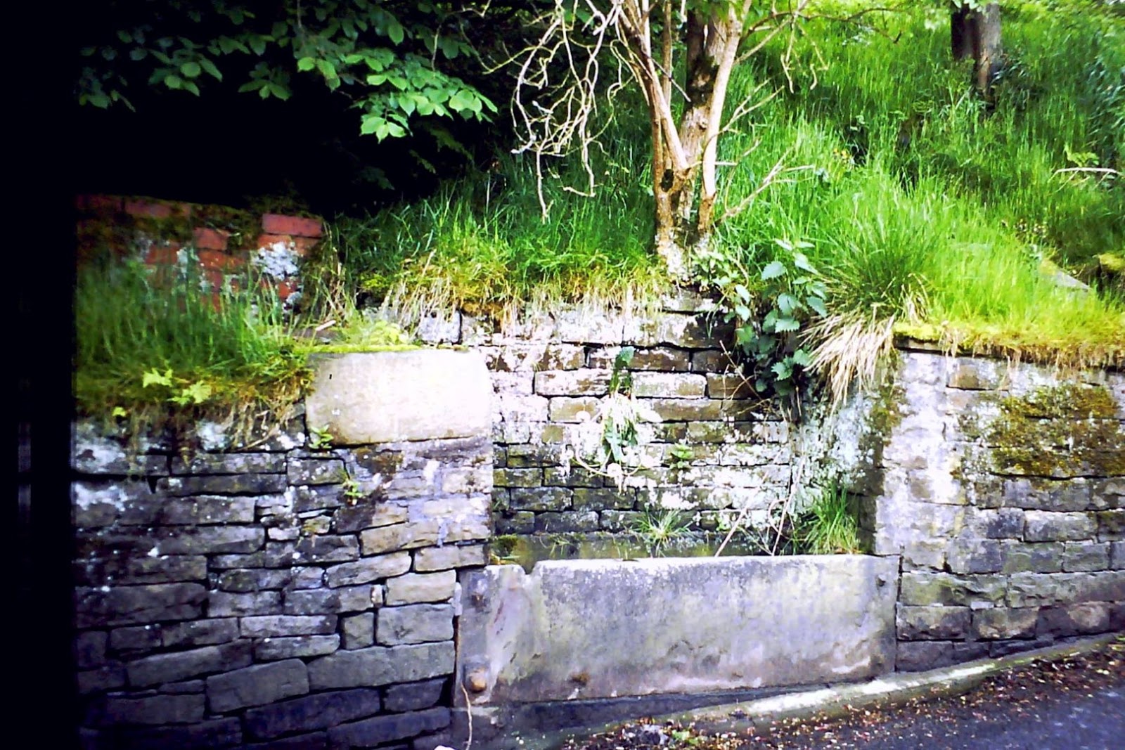 Haslingden Old and New...: Historic Water Troughs, Spring Fed Wells and ...