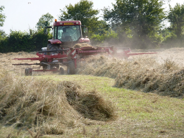Great Slamseys Farm Diary: making hay