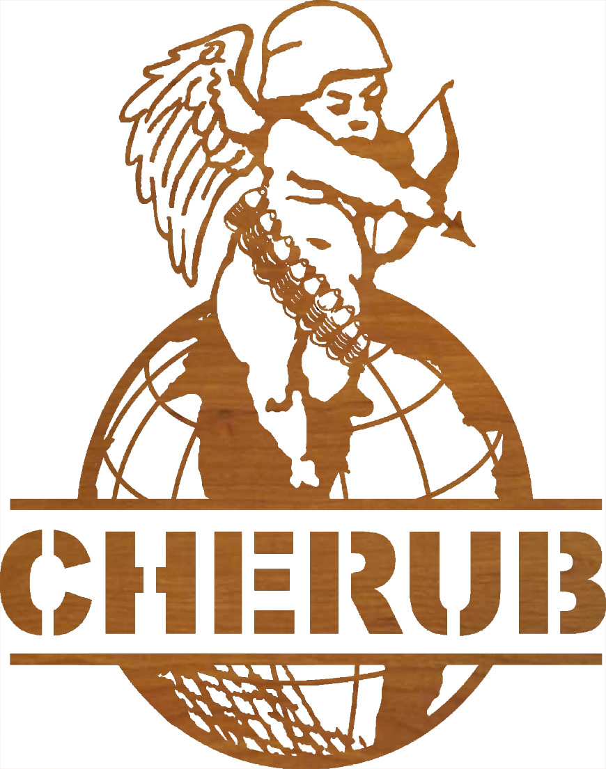 Na Descoberta dos Livros: Novo site português da CHERUB