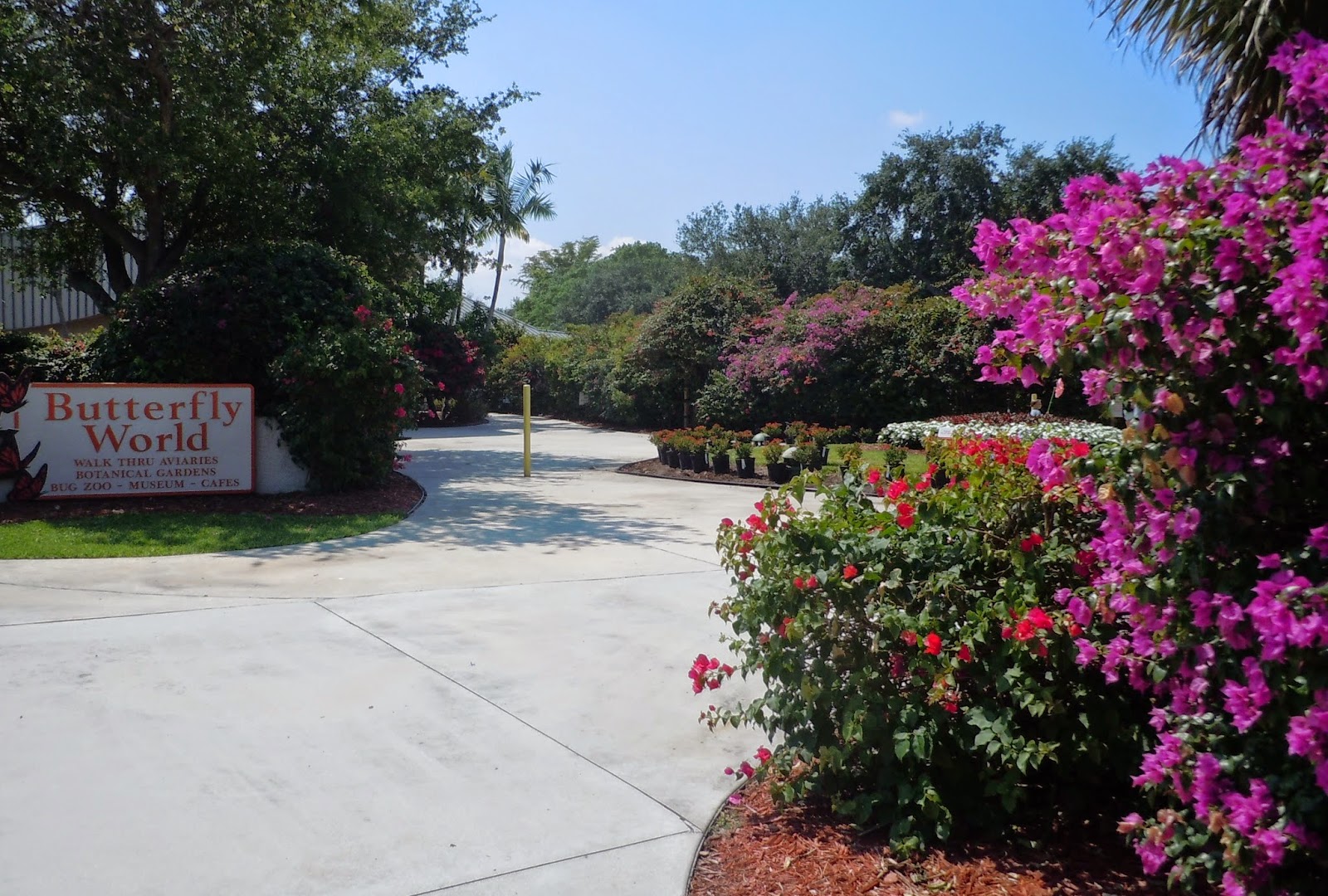 Tuấn Đoan: .Butterfly World Fort Lauderdale Florida
