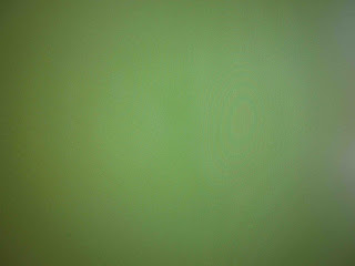 New House Girl: Puke Green or Reptile Green?