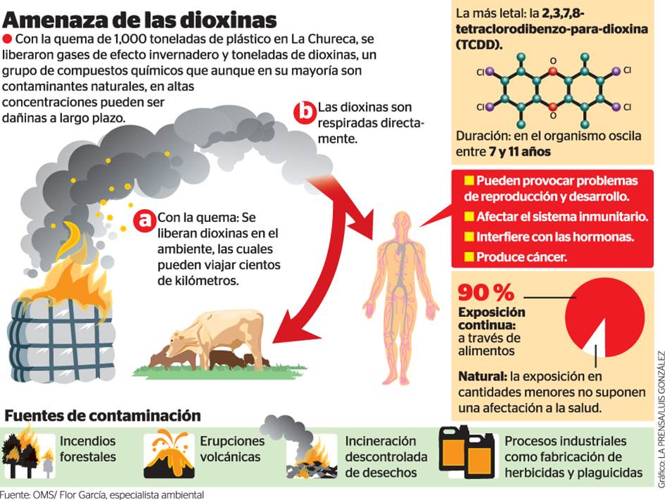 Dioxinas