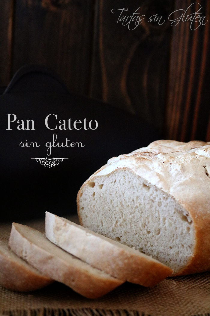 Tartas sin Gluten .....365 dias sin gluten: Pan Cateto #singluten