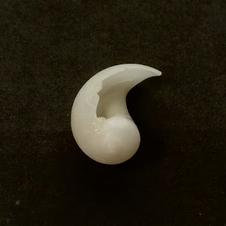 My Many Impressions: 22 of 30 Milk Moonsnail (Broken Shell Series)